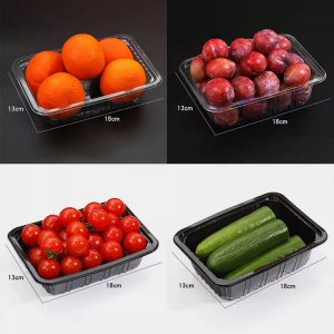 Food Packaging Trays Size Chart - ALLPACK